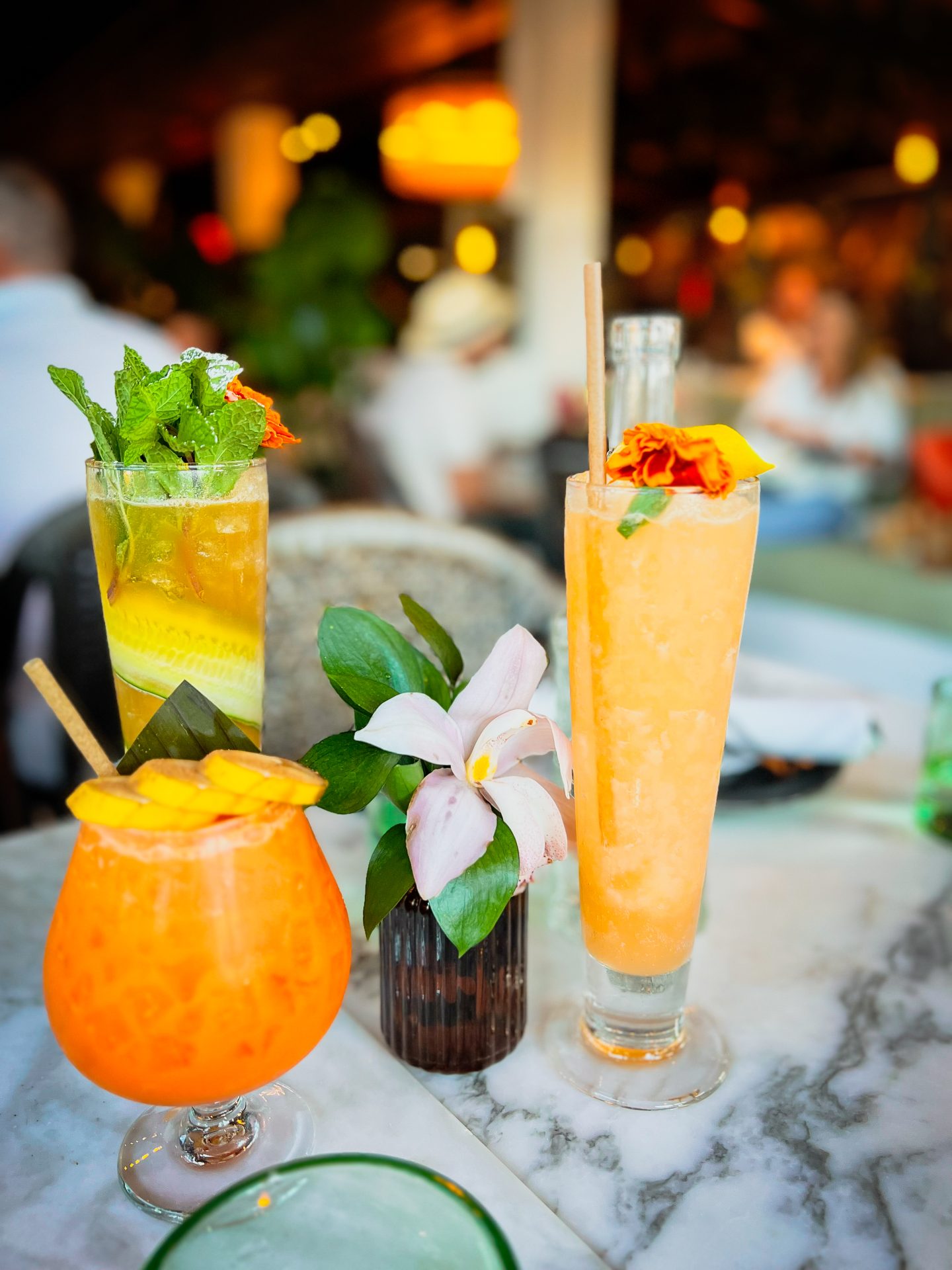 Adult-Only All-Inclusive - Tropical Drinks Collection - WLS ...